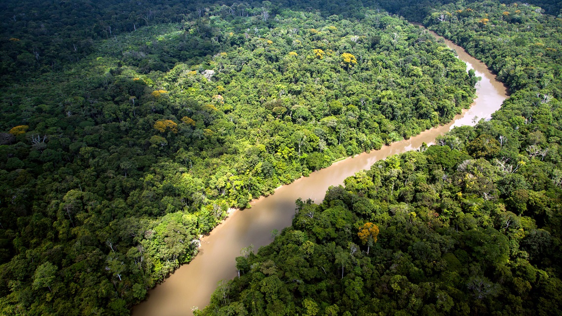 Amazzonia, nel 2019 deforestazione aumentata dell'85% | ILFOGLIETTONE ...